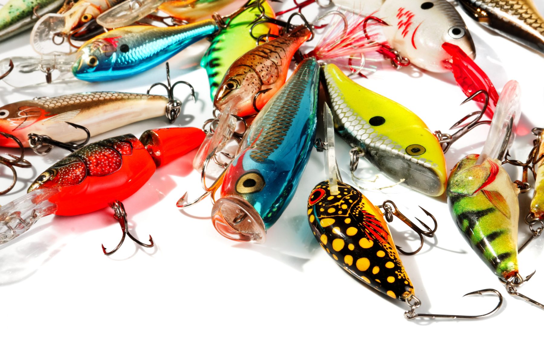 What are the best fluke colors for fishing - 401 Fishing Reports