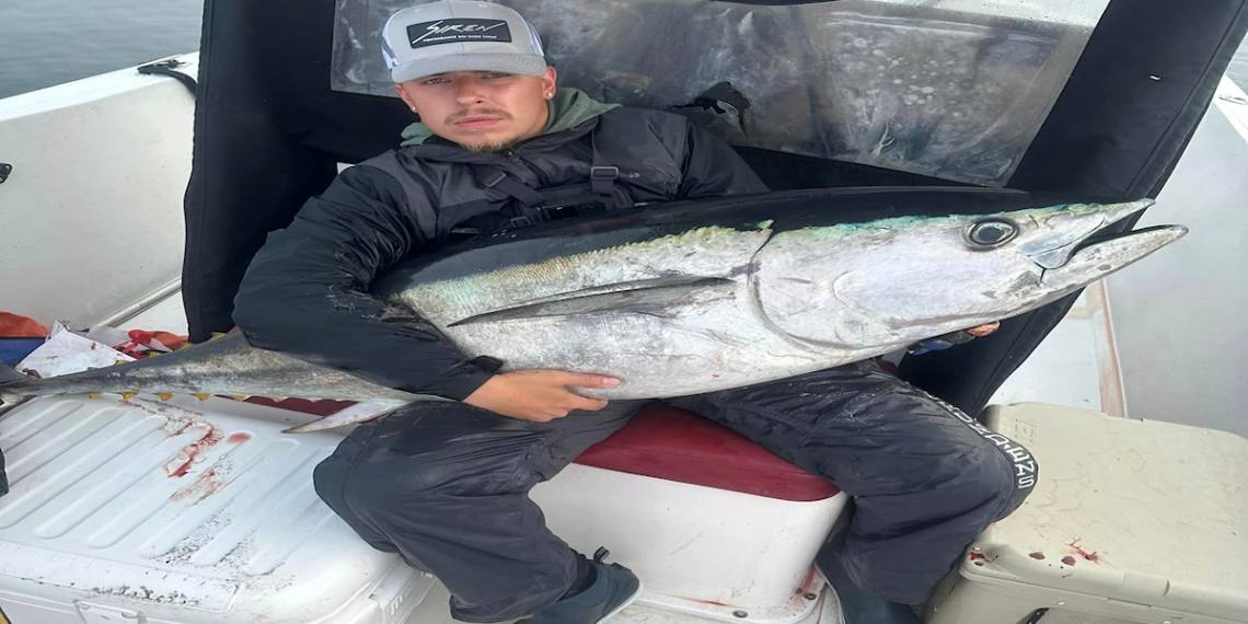 The Wonders of Menhaden Fish: A Closer Look at the Atlantic States ...