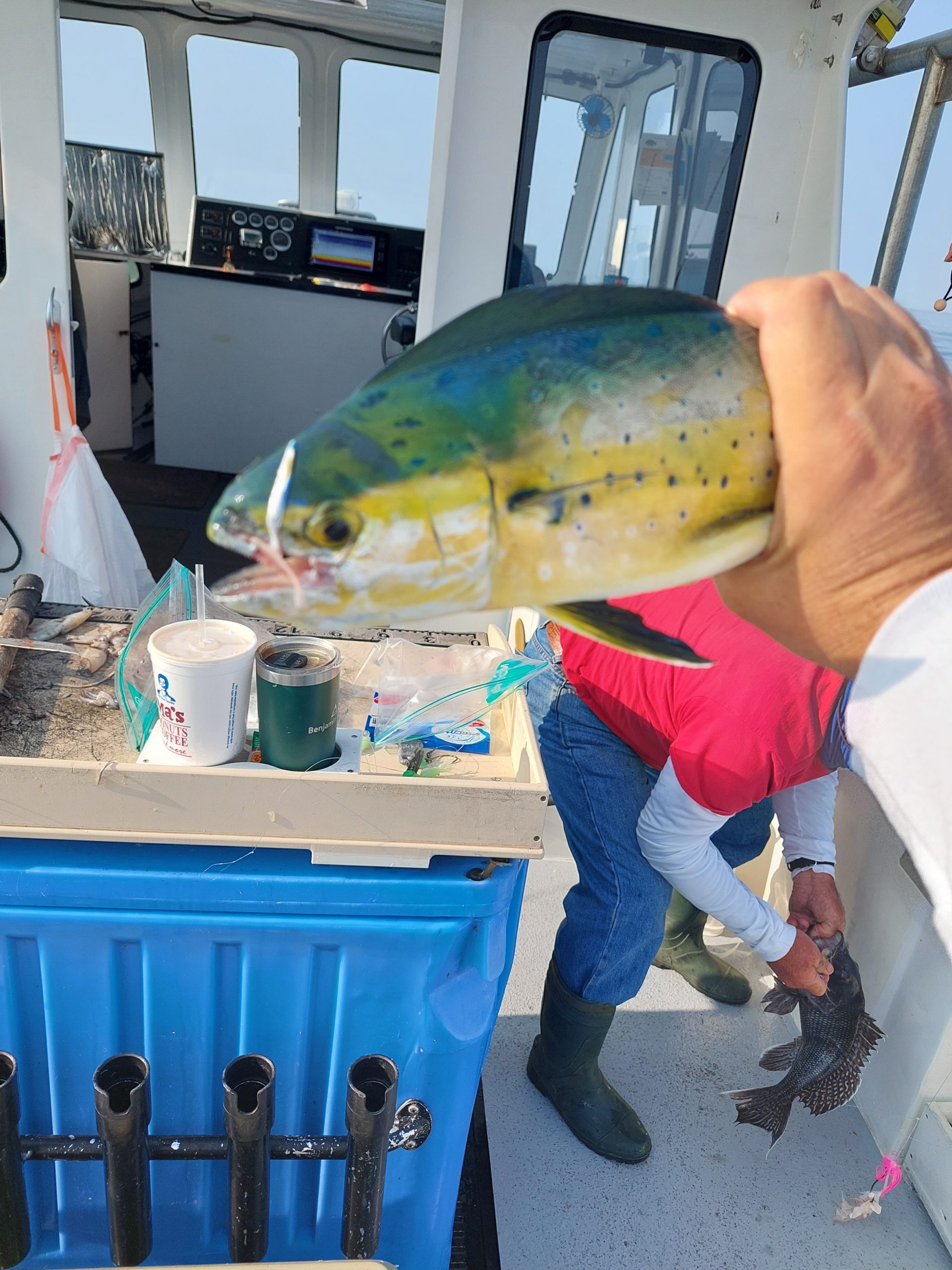 Fishing Reports - 401 Fishing Reports Our live and running Reports